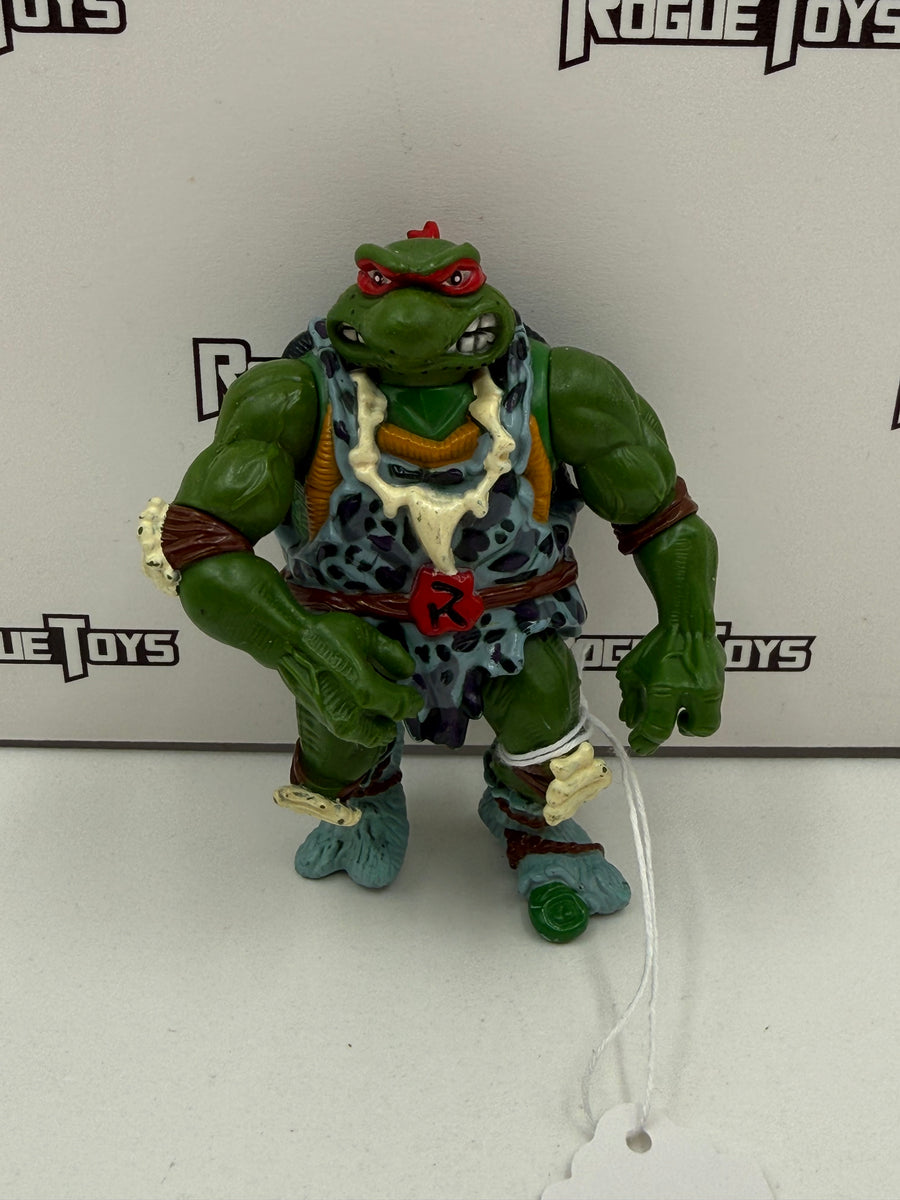 Playmates Teenage Mutant Ninja Turtles (TMNT) Cave Turtle Raph| Rogue Toys