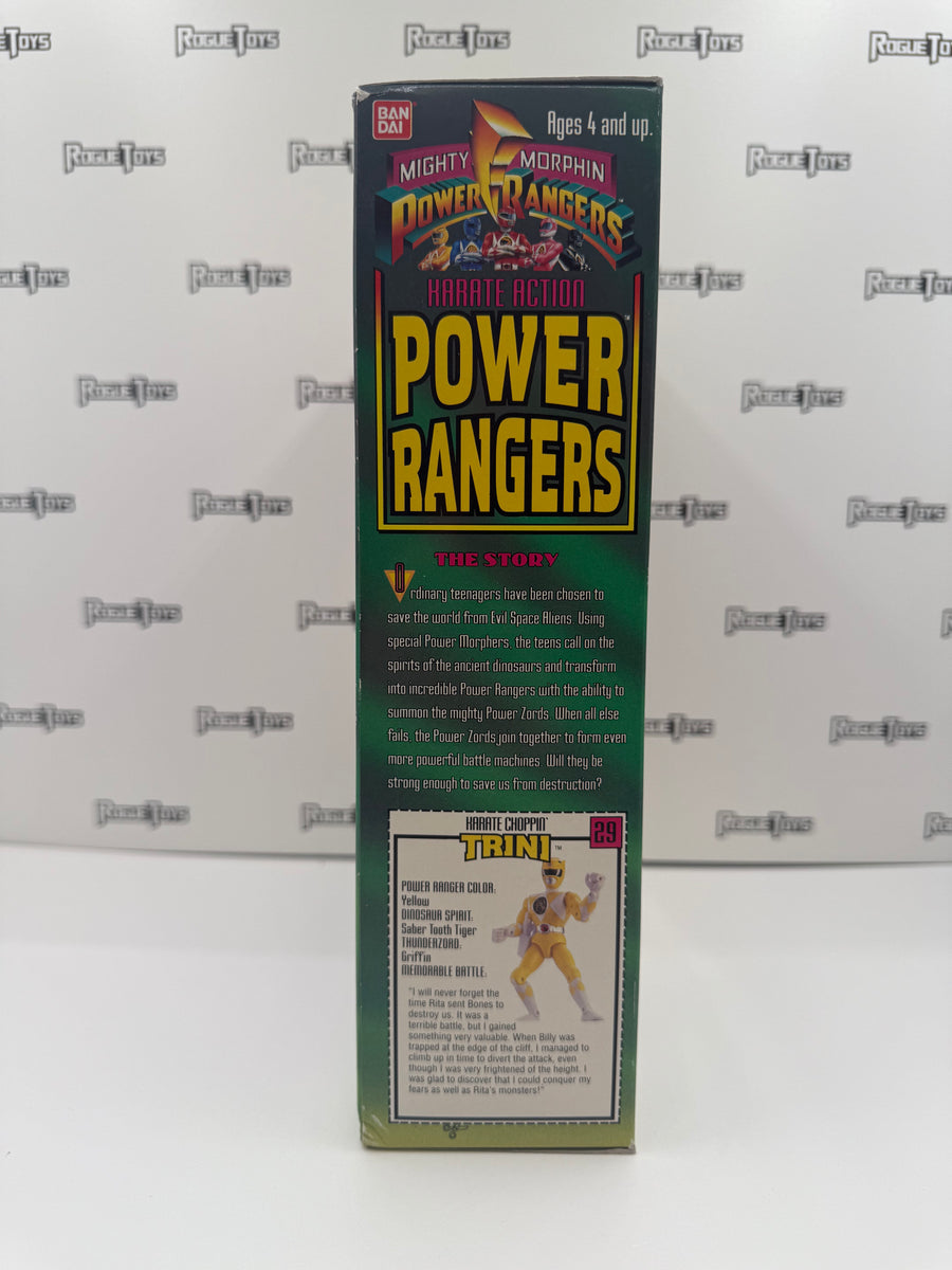 Bandai Mighty Morphin Power Rangers Karate Action Power Rangers Karate ...